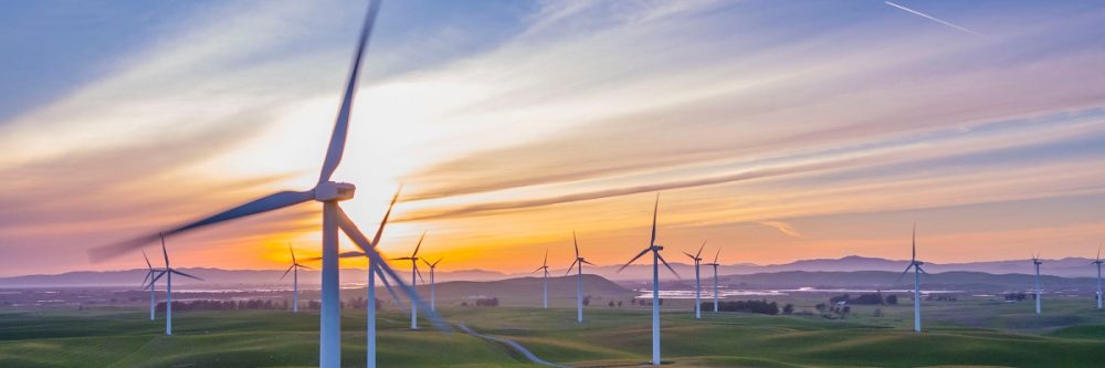 Home - Department of Earth, Environmental and Geographical Sciences