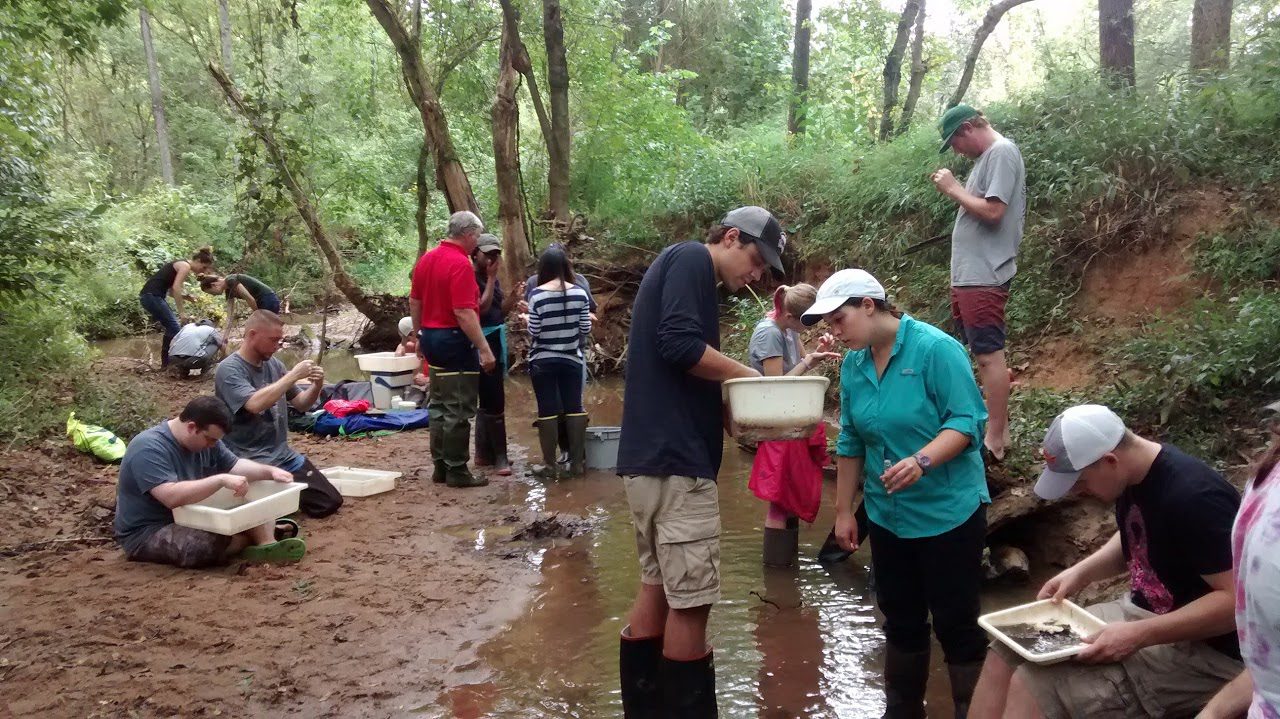 Environmental Studies - Department of Earth, Environmental and ...