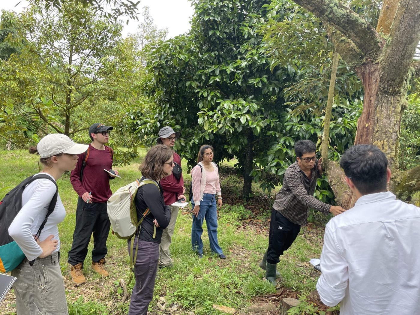 Research - Department of Earth, Environmental and Geographical Sciences