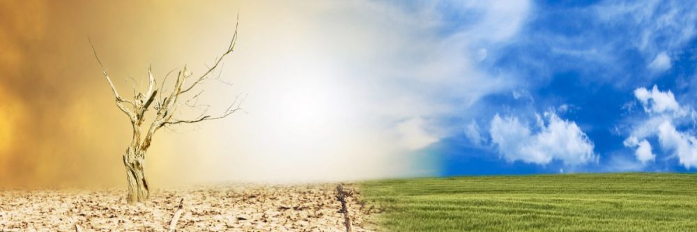 Home - Department of Earth, Environmental and Geographical Sciences