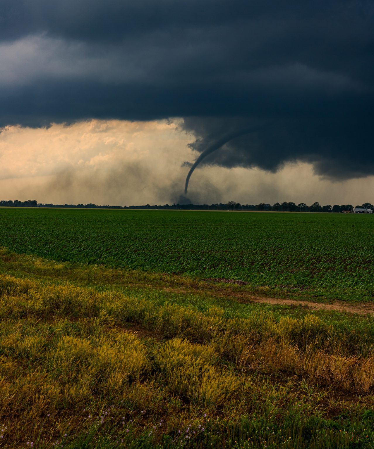 Meteorology - Department of Earth, Environmental and Geographical Sciences
